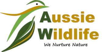 Aussie Wildlife Limited
